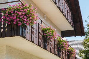 Pormenores do exterior