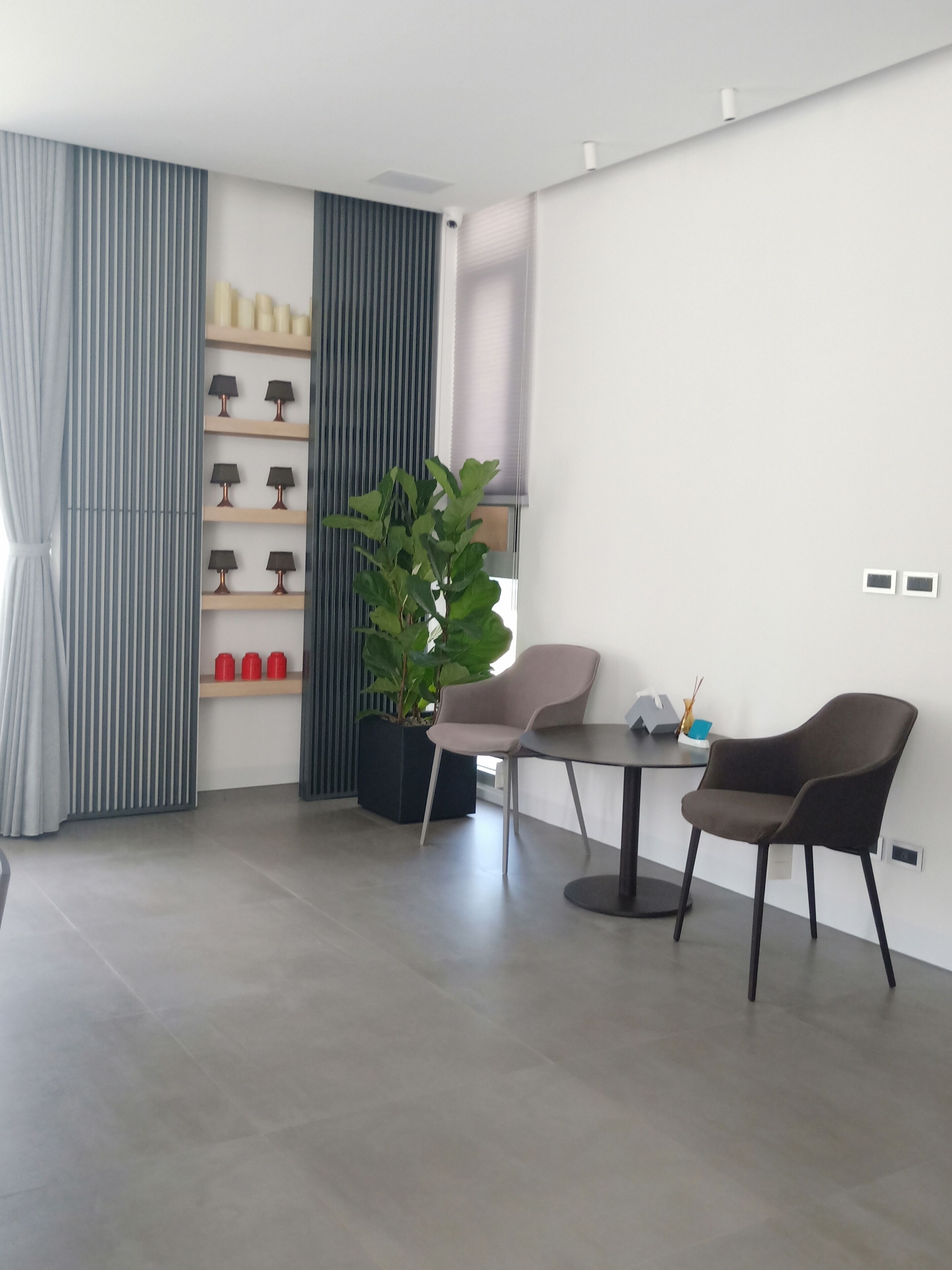 Uma sala de estar moderna com um sofá cinzento, uma mesa redonda e uma planta em vaso.
