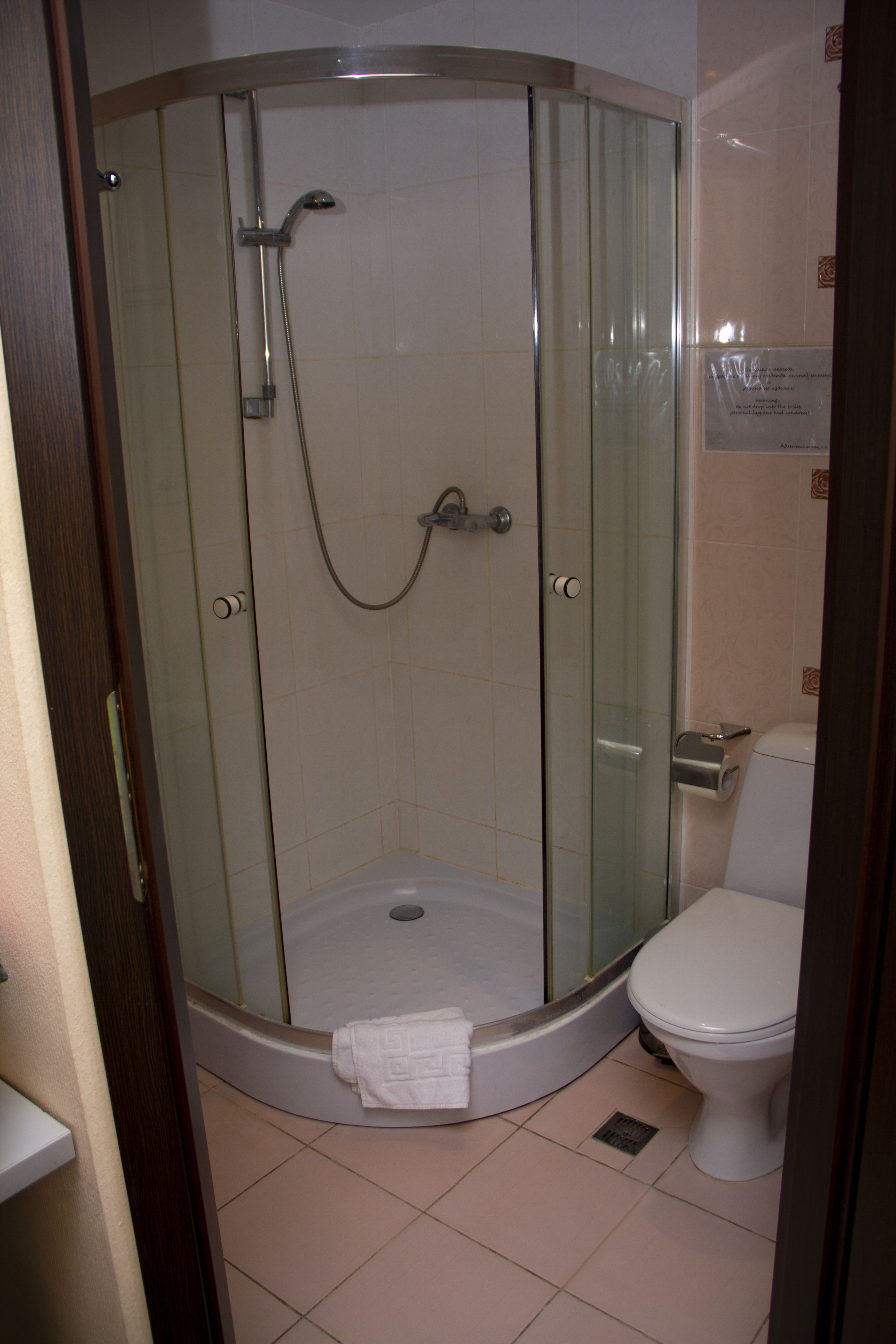 Divisória de chuveiro com vidro, vaso sanitário e porta-toalhas.