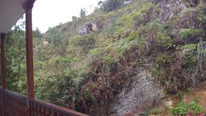 Varanda com guarda-mão de madeira, vista para uma encosta verde e exuberante com diversas plantas e um afloramento rochoso.