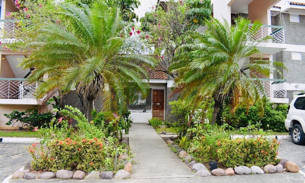 New Kingston Guest Apartment At Chelsea - Kingston