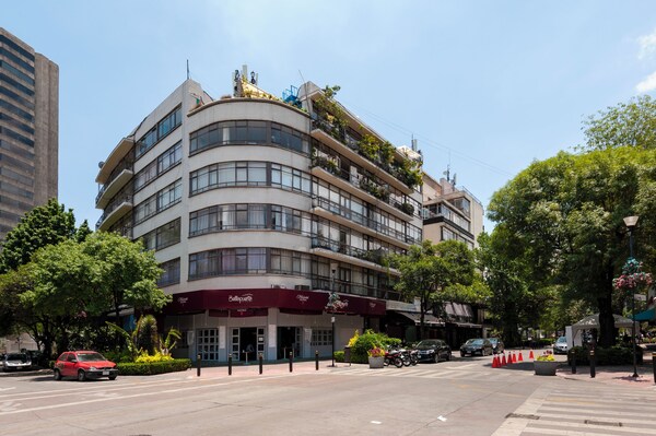 Casa Itzae B&b Polanquito Dog Friendly - Mexico City