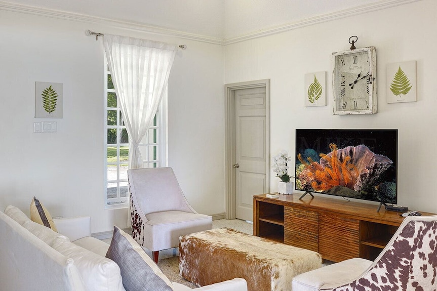 Tropische Strandoase Mit Pool - Hohe Bäume - Barbados