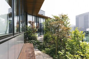 Terraço/pátio interior