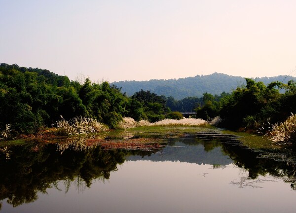 The Tiger Valley Resort - Chhattisgarh