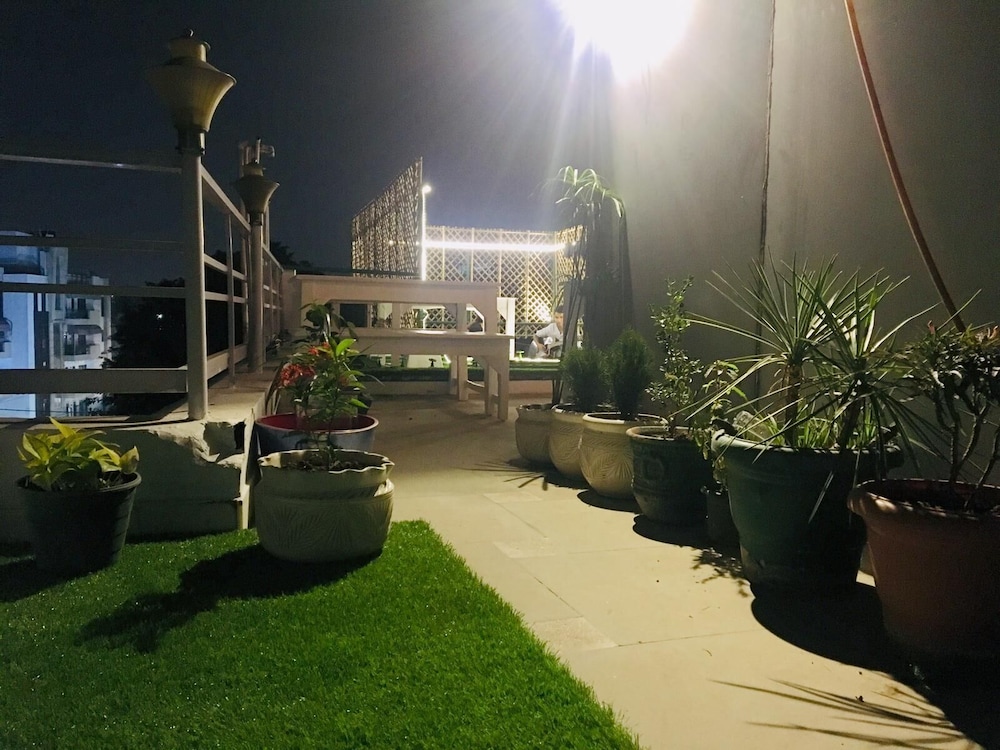 A Sleepy Fox - Hostel - Delhi