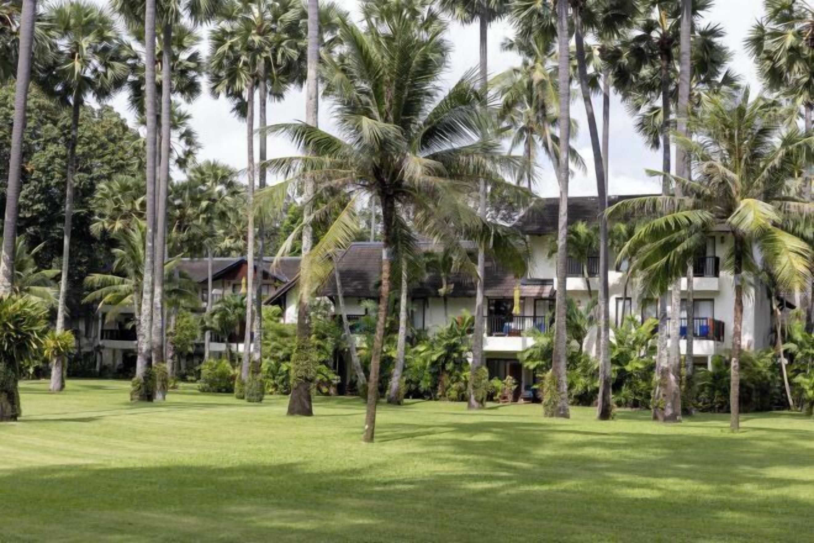 Jardim
