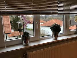 Uma janela com duas plantas em vasos no parapeito.