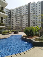 Piscina exterior 