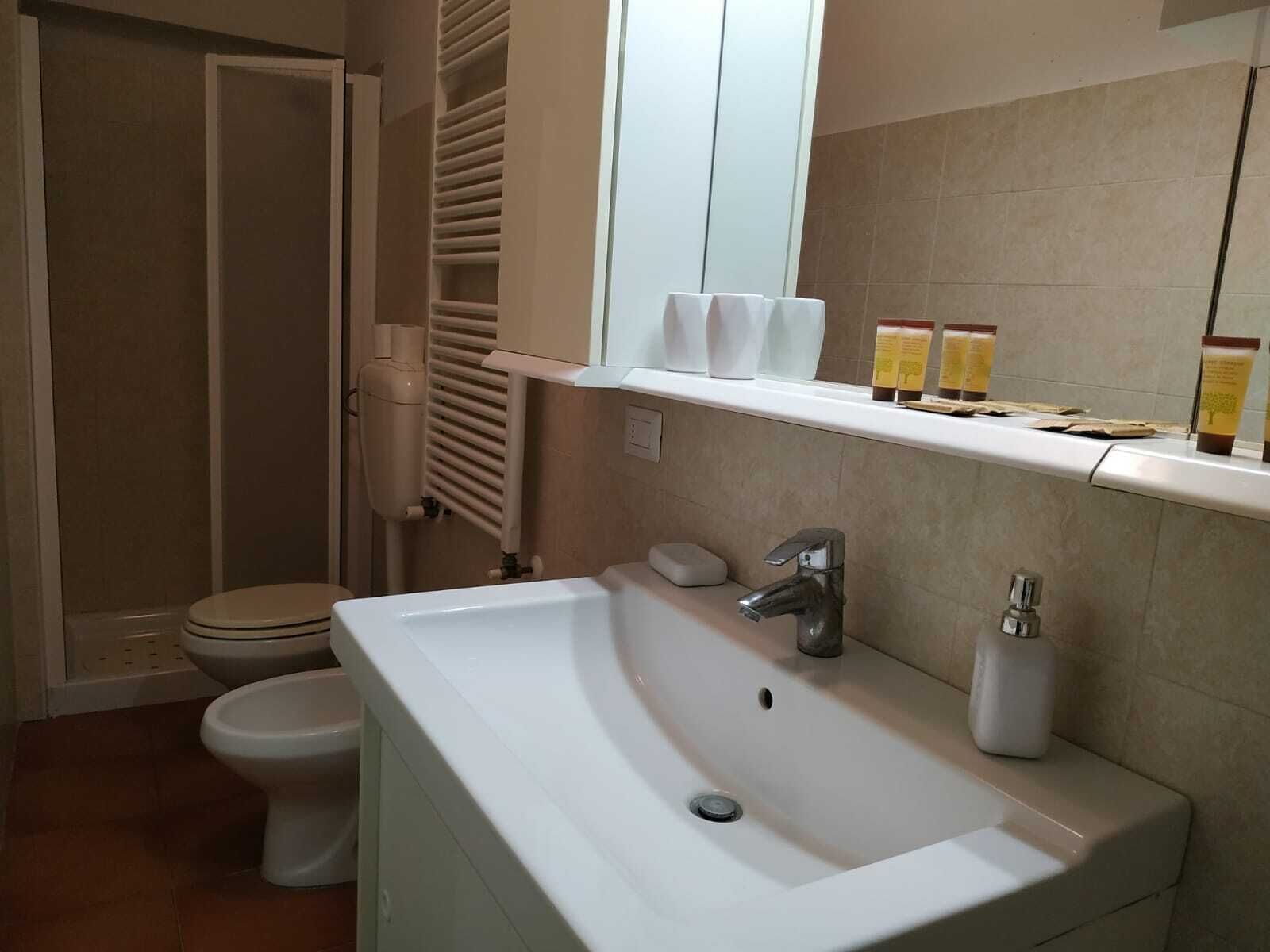 Casa de banho com lavatório branco, sanita e chuveiro. Há uma prateleira com artigos de higiene pessoal e um espelho sobre o lavatório.