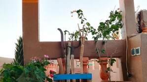 Um terraço com plantas em vasos, um cesto de madeira e vasos de terracota.