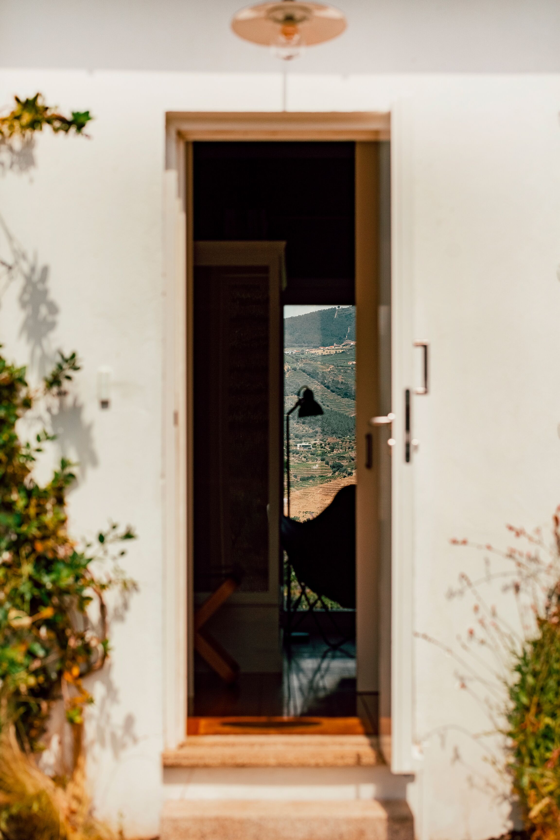 Porta de entrada para um quarto com vista para uma paisagem montanhosa.