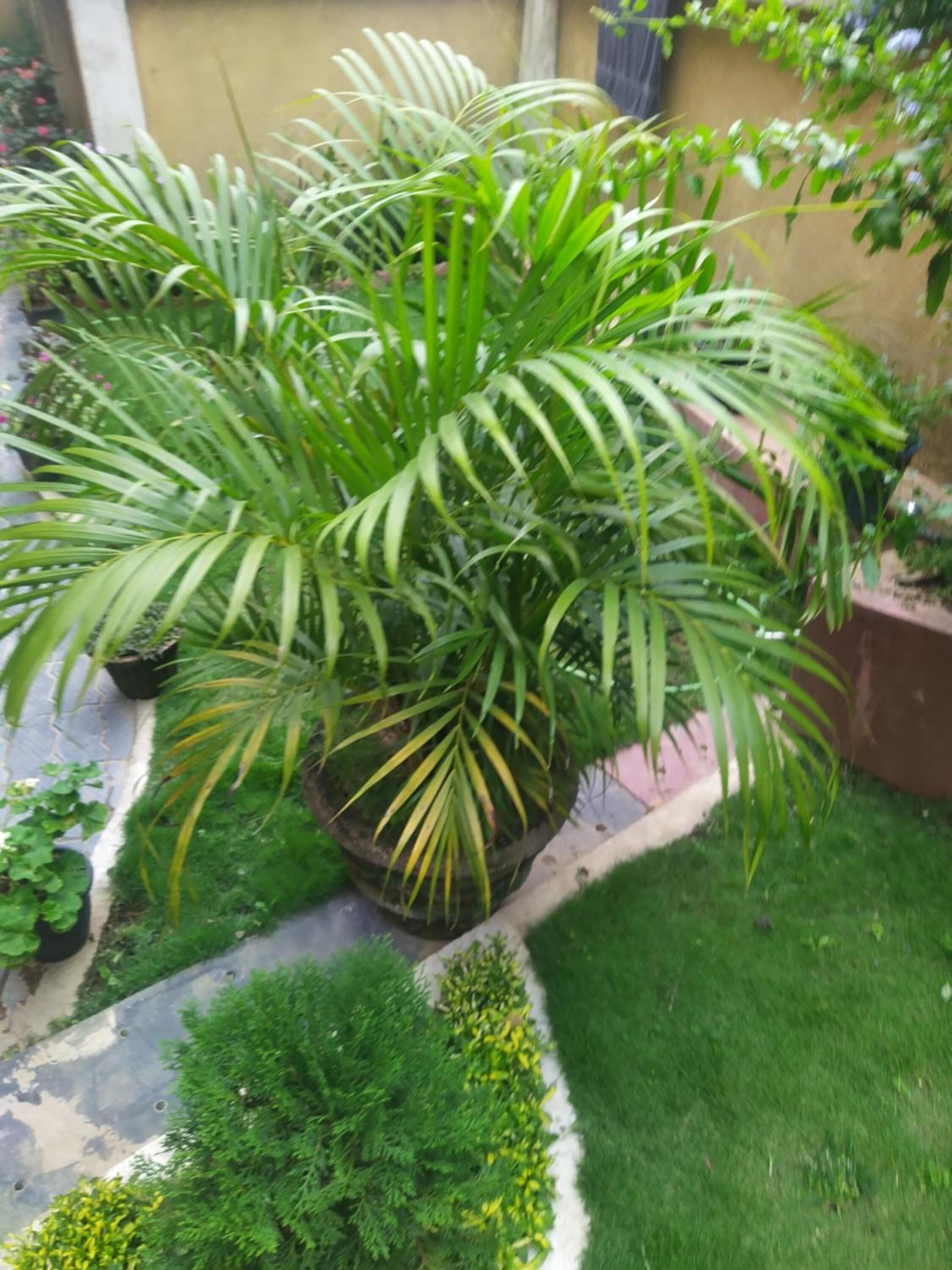 Terrenos do alojamento