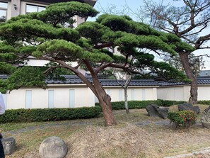 Terrenos do alojamento