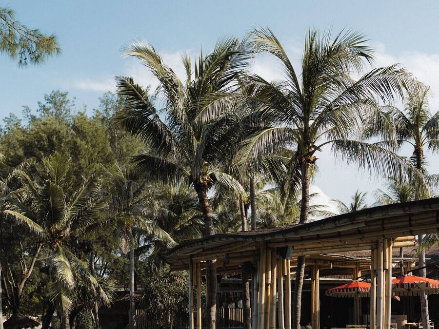 Piscina exterior, espreguiçadeiras