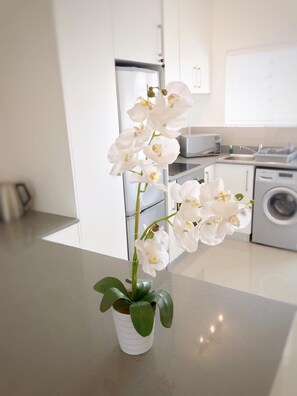 Apartamento (1 Bedroom) | Cozinha privada | Um frigorífico/congelador grande, um micro-ondas, um forno 