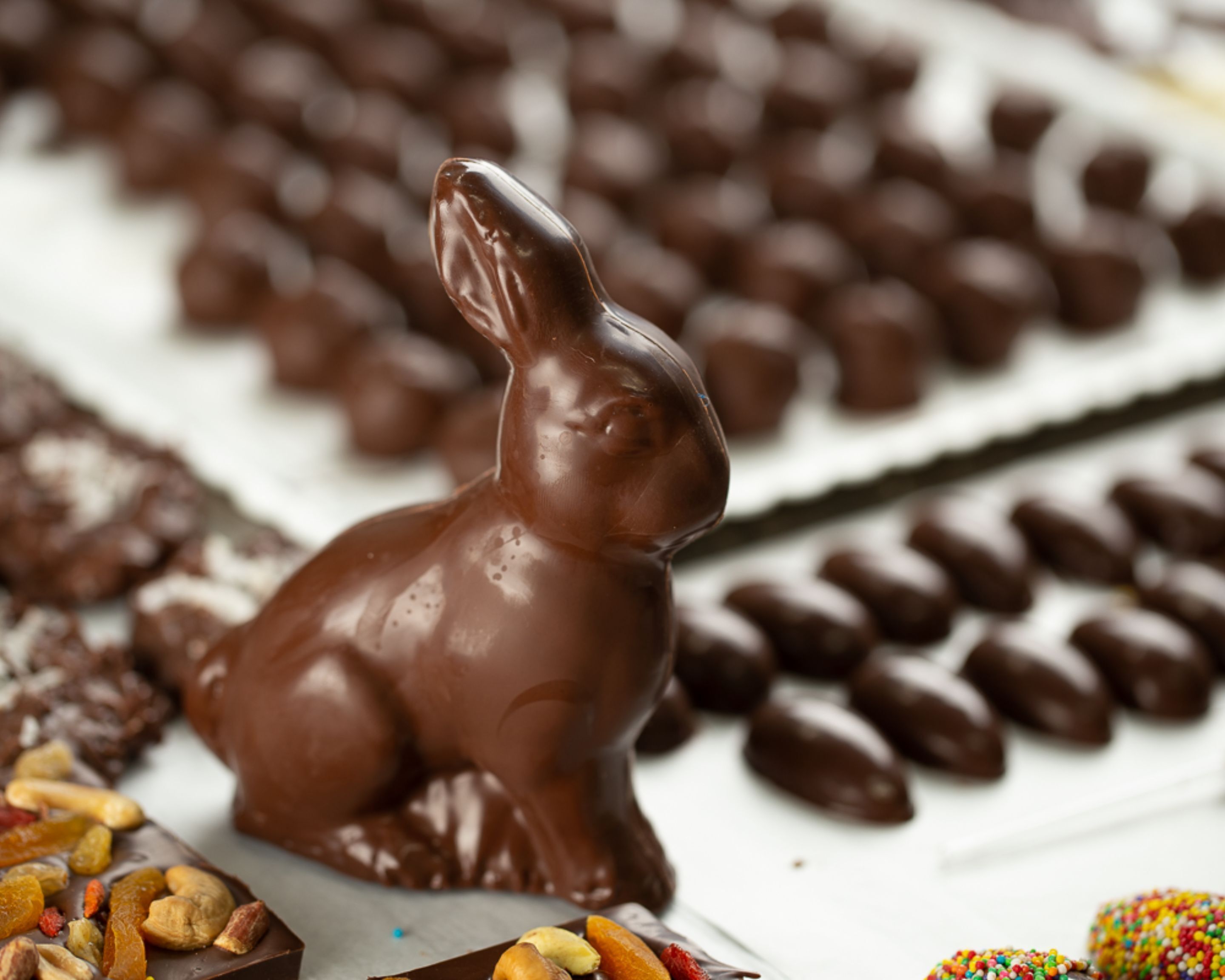 Um coelho de chocolate numa bandeja com chocolates variados e frutos secos.