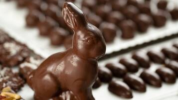 Um coelho de chocolate numa bandeja com chocolates variados e frutos secos.