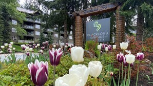 Placa de Blackcomb Springs com um edifício alto e um jardim de tulipas ao fundo.
