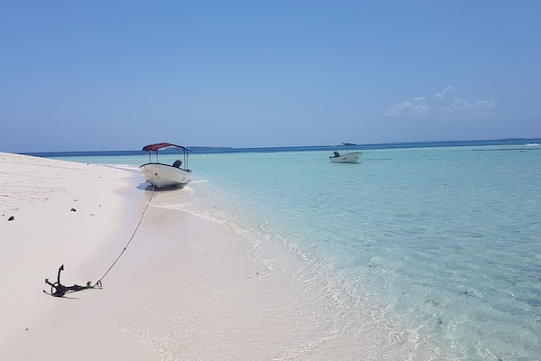 Passeios de barco