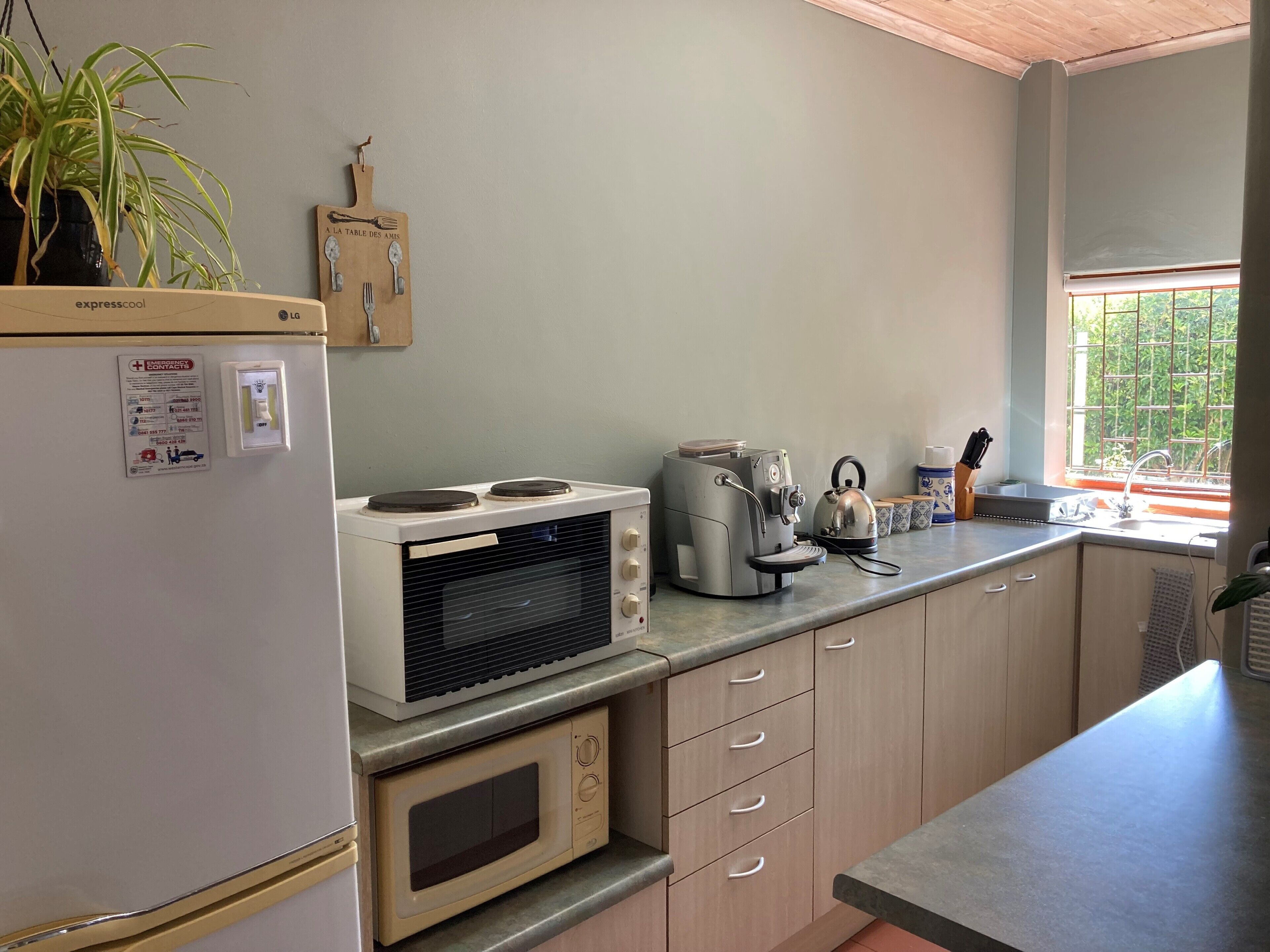 Cozinha equipada com frigorífico, micro-ondas, torradeira, chaleira e janela com vista para o verde.