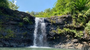 Uma cascata desce por um penhasco rochoso, caindo em um corpo d'água, em meio a vegetação exuberante.