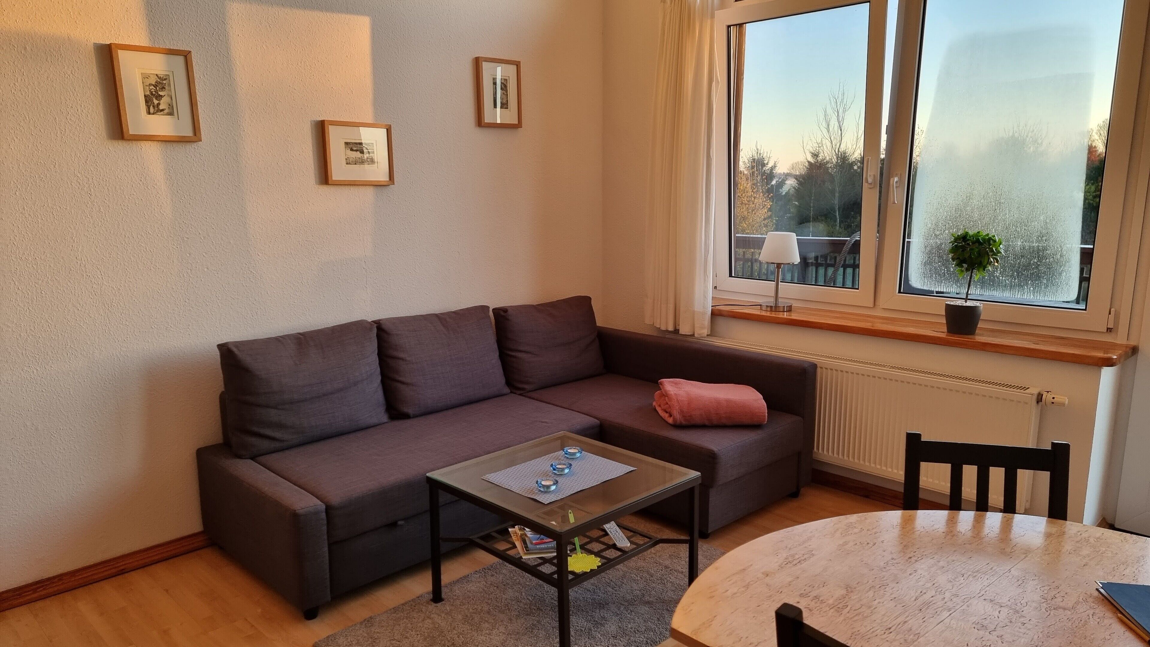 Uma sala de estar moderna com um sofá marrom escuro, uma mesa de centro de vidro e uma mesa redonda com cadeiras. Há quadros nas paredes, uma janela com vista para árvores e um radiador sob a janela.