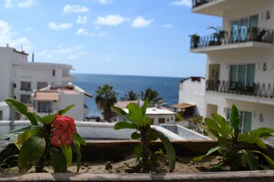 Varanda com plantas em vasos e vista para o mar e edifícios.