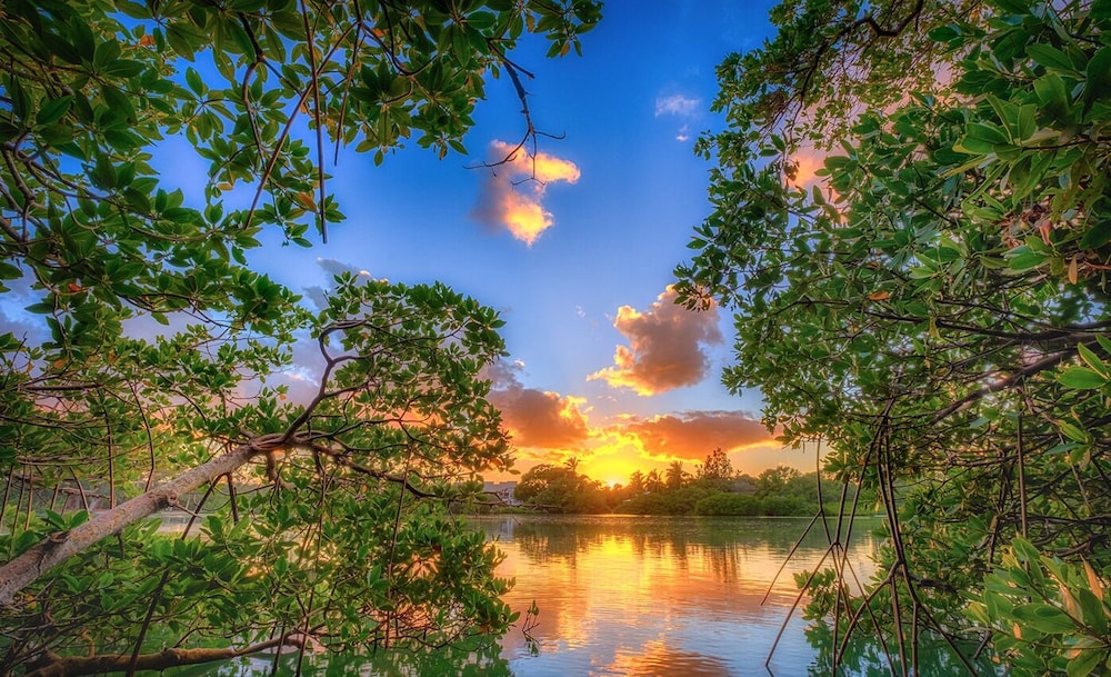 A Pie De La Playa, Tiendas, Restaurantes Y Mucho Más. ❤️💛💚 - Jupiter, FL