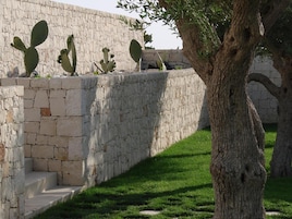 Área da propriedade