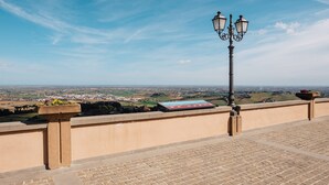 Um terraço pavimentado com um candeeiro e vasos de flores.
