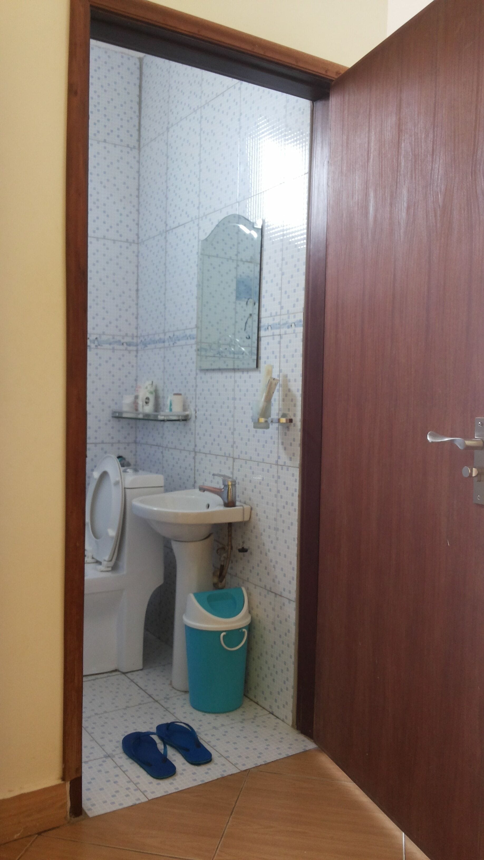 Uma casa de banho pequena com sanita, lavatório e um caixote de lixo azul.
