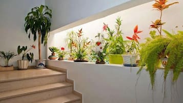 Pormenores do interior