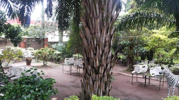 Jardim