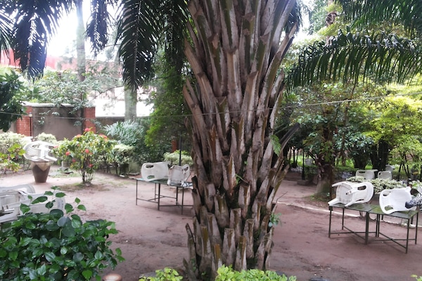 Jardim