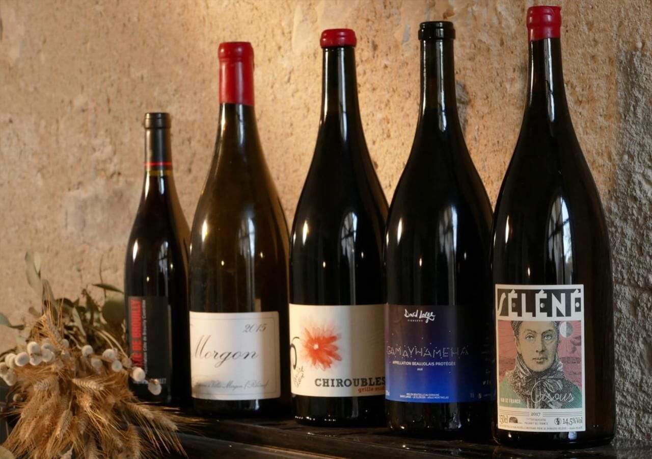 Várias garrafas de vinho dispostas numa prateleira, com um fundo rústico.