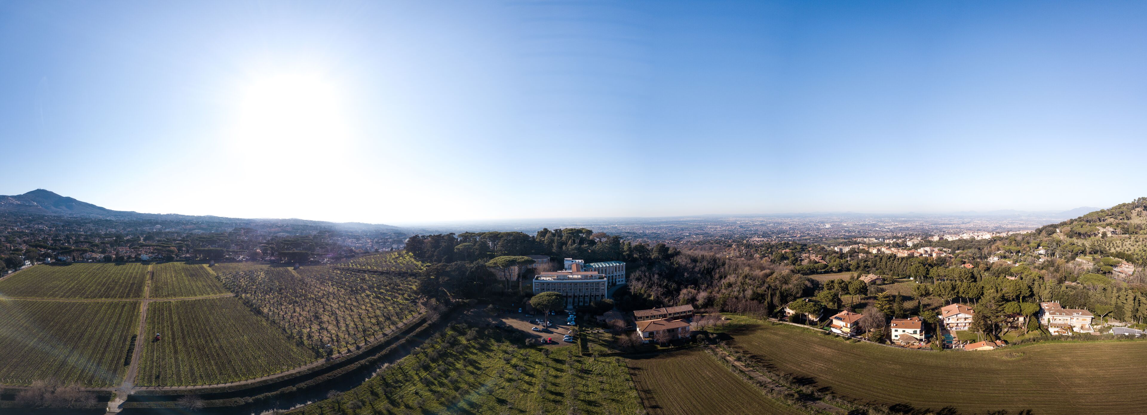 Vista aérea de um vinhedo com fileiras de videiras, um edifício grande com telhado verde e áreas residenciais ao redor.