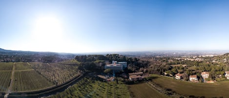 Vista aérea de um vinhedo com fileiras de videiras, um edifício grande com telhado verde e áreas residenciais ao redor.