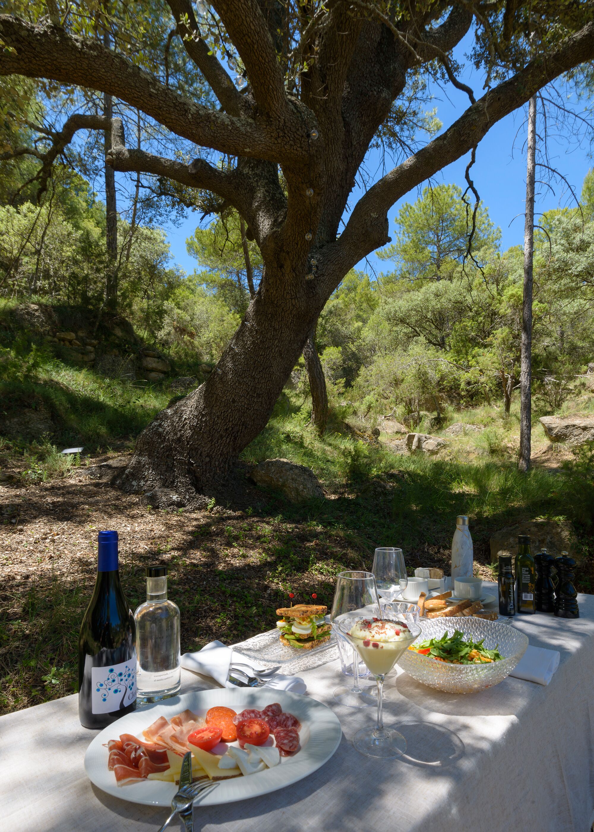 Uma área para piquenique sob uma árvore grande, com uma mesa posta para servir comida, vinho e copos.