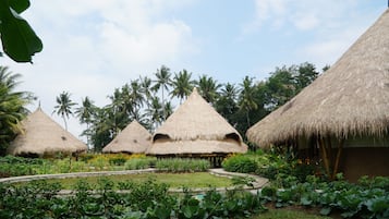 Jardim