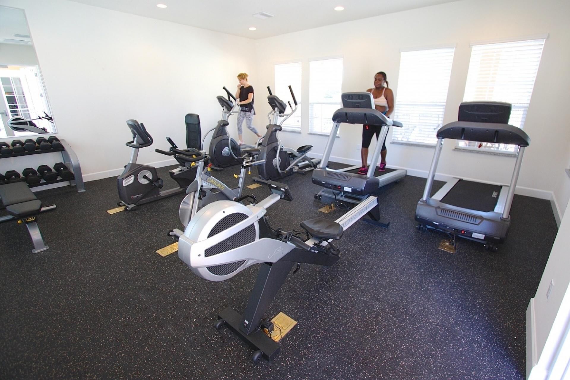 Uma academia com diversos aparelhos de cardio, halteres e bancos.