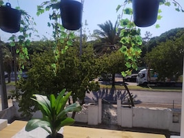Terraço/pátio interior