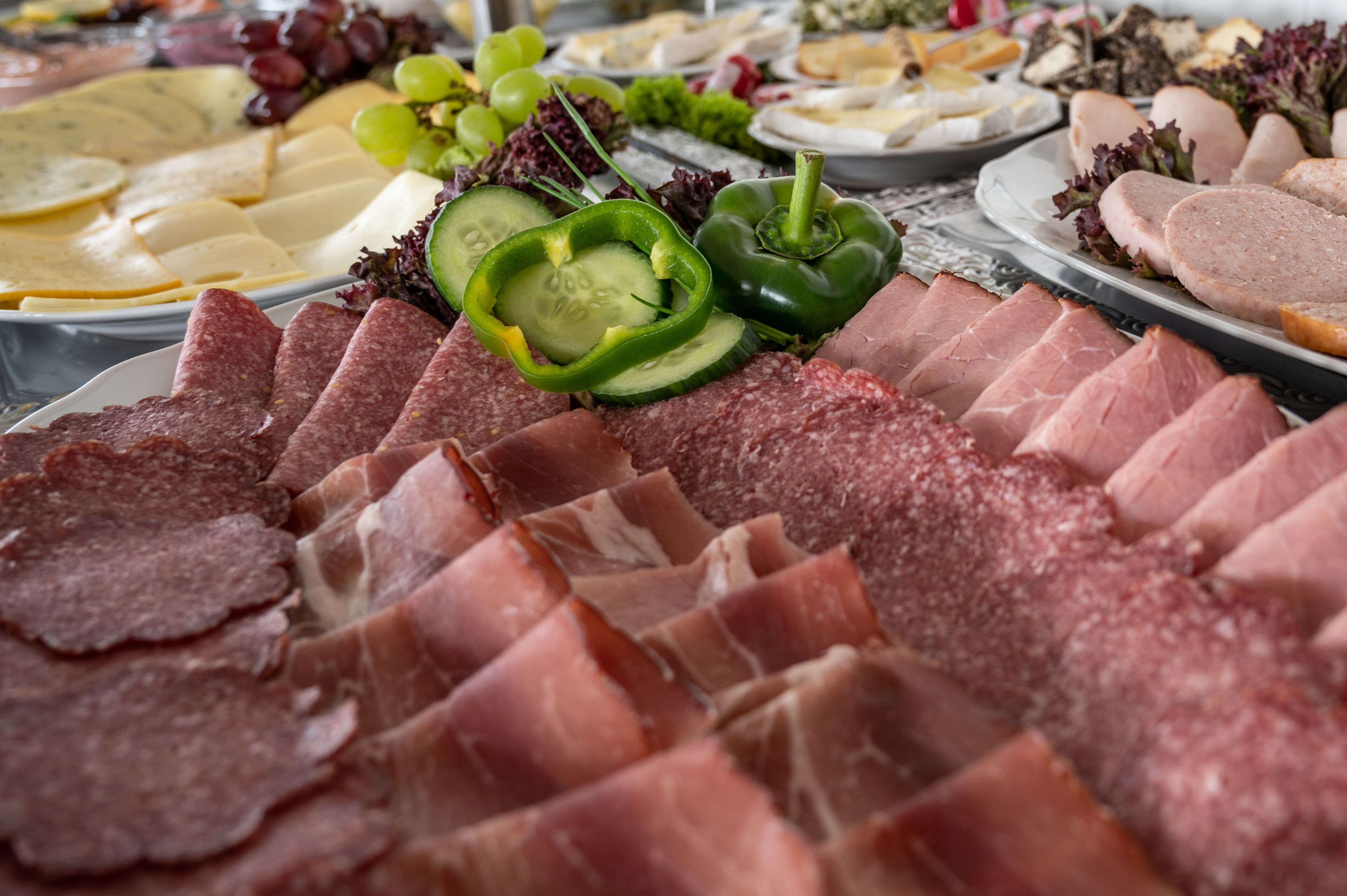 Diversos tipos de carnes fatiadas e queijos em um prato.