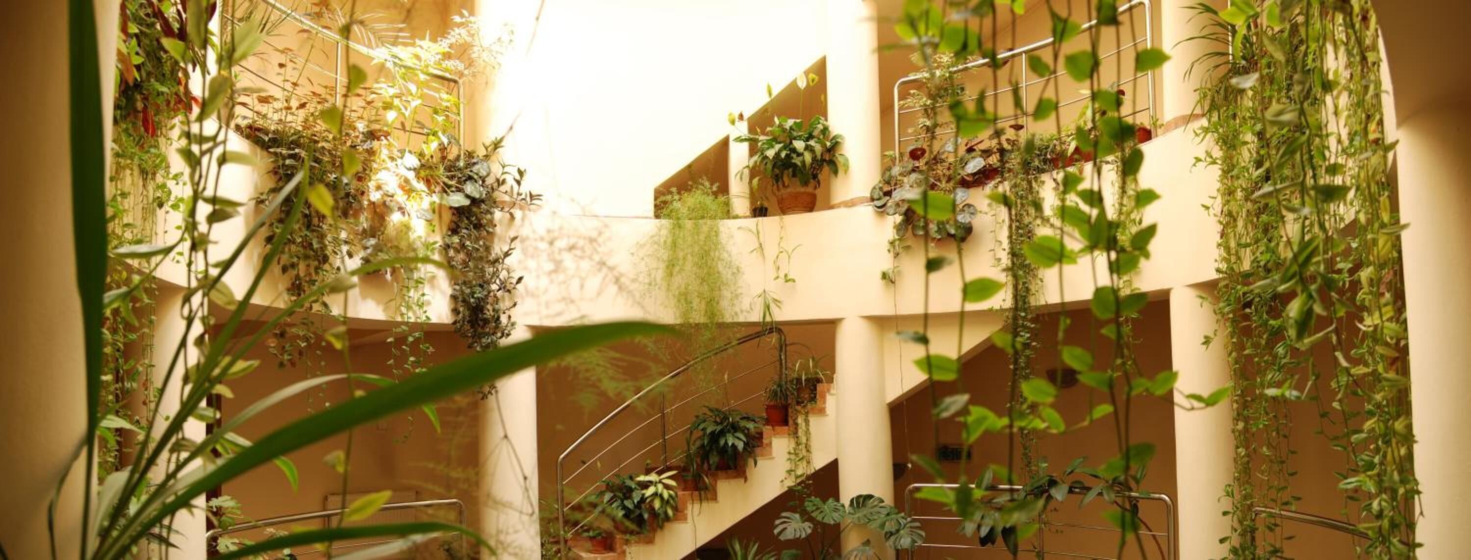 Terrenos do alojamento