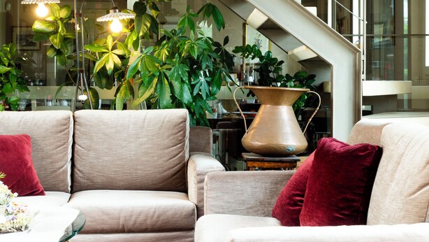 Uma sala de estar moderna com escada, sofás, mesa de centro e plantas em vasos.