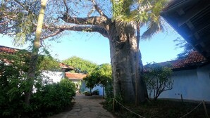 Um caminho de pedra que leva a um edifício com telhado em azulejos.