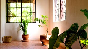 Um quarto com uma janela grande, plantas em vasos e piso de azulejos.