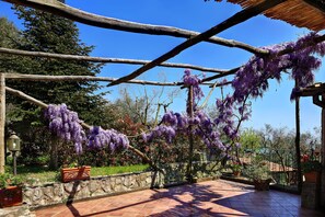 Terraço/pátio interior