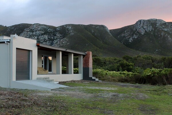 Groeneweide - Western Cape