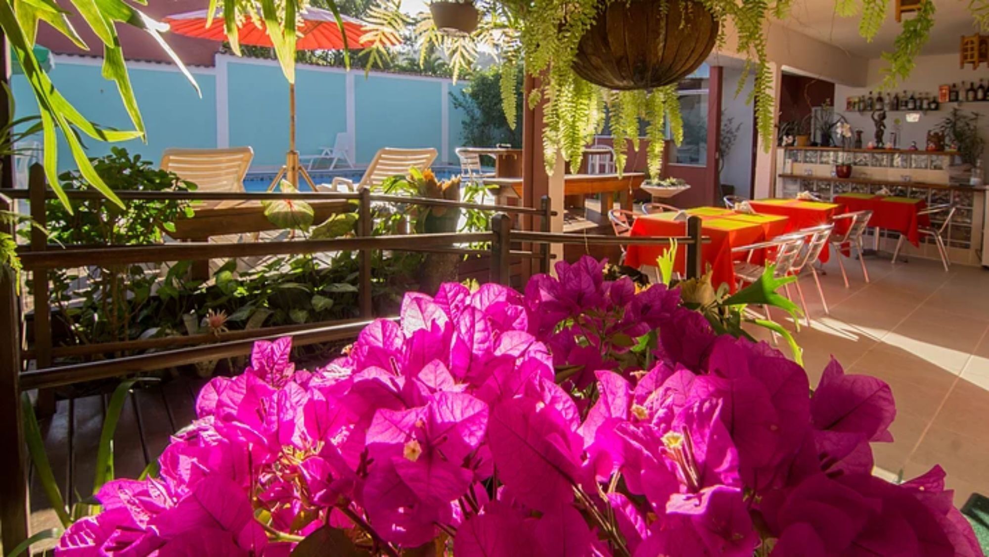 Uma área ao lado da piscina com assentos externos, um vaso suspenso e diversas plantas.